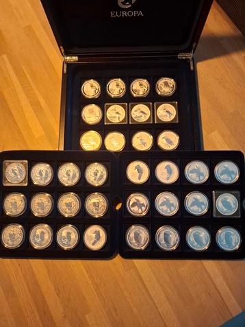 ≥ KOOKABURRA. Groot assortiment, veel keuze, uitzoeken maar ...