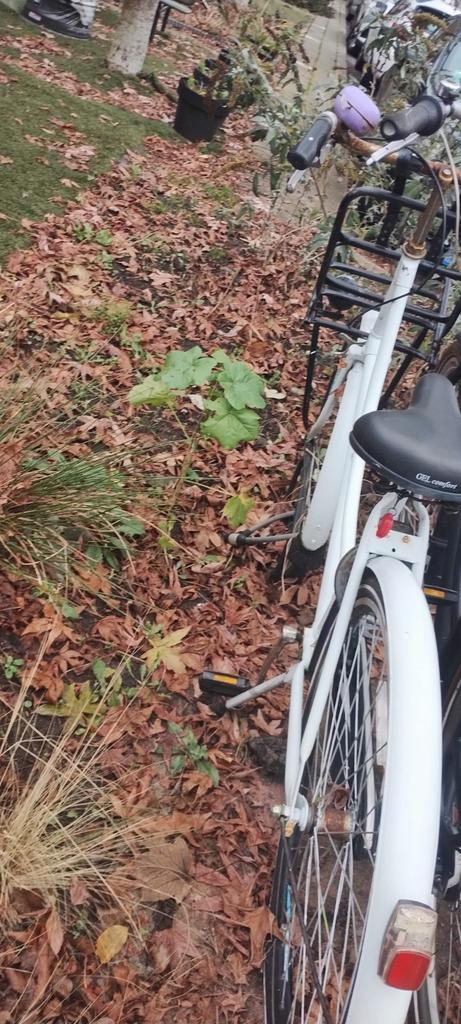 ≥ 2 Damesfietsen - Opknapper of Stadsfiets — Fietsen | Dames ...