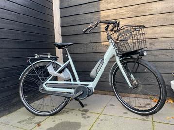 ≥ Gazelle Bloom C380 HMS L53 - Fijne E-bike! — Elektrische fietsen — Marktplaats