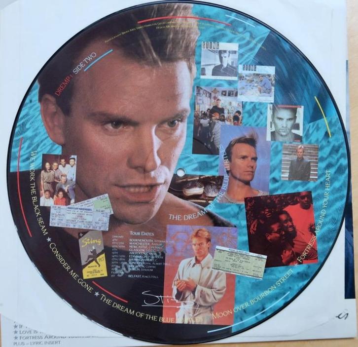 ≥ Sting - The Dream Of The Blue Turtles - Picture LP — Vinyl | Pop ...