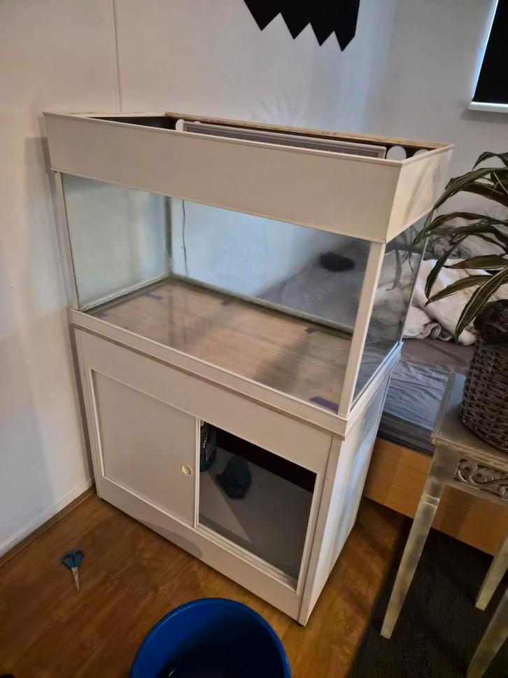 ≥ Aquarium 80x40x40 +/- 125 liter. — Vissen | Aquaria en Toebehoren ...