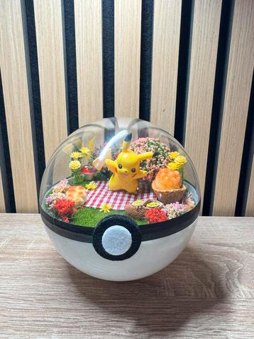 ≥ Pikachu Pokeball Terrarium — Poppetjes en Figuurtjes — Marktplaats