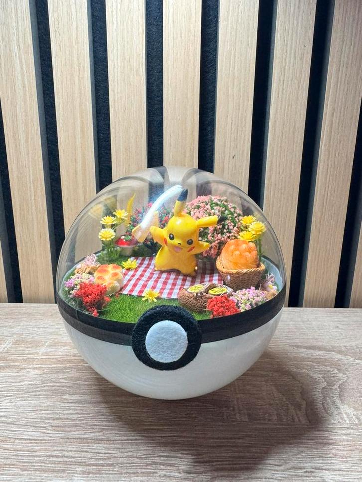≥ Pikachu Pokeball Terrarium — Poppetjes en Figuurtjes — Marktplaats