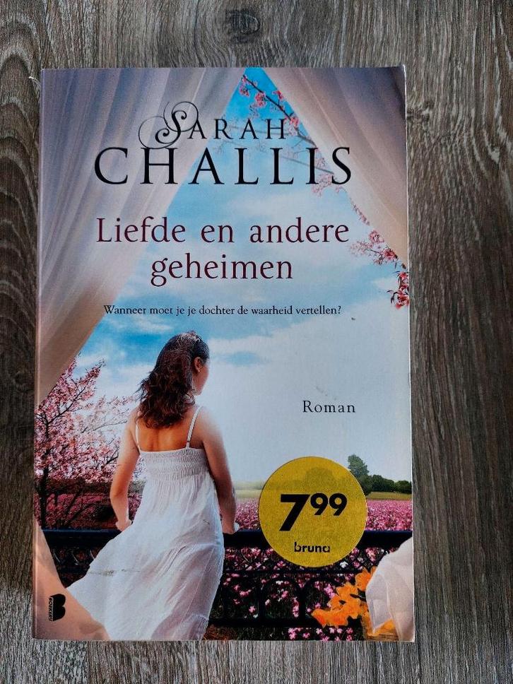 ≥ Sarah Challis - Liefde en andere geheimen — Romans — Marktplaats