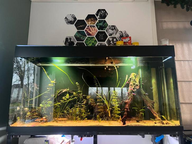 ≥ Aquarium 150 breed 50 diep 75 hoog met kast — Vissen | Aquaria en ...