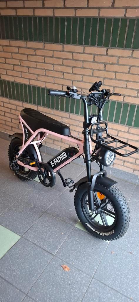 ≥ La souris Fatbike C80 Mini - Stoere E-Bike! — Elektrische fietsen — Marktplaats