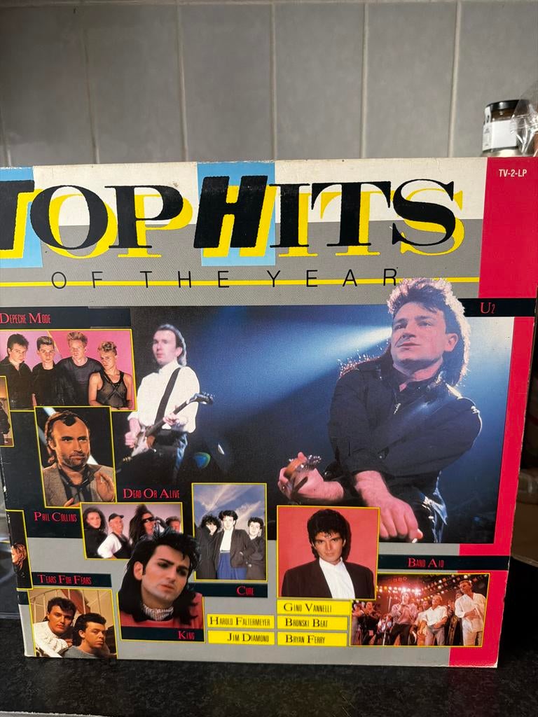 ≥ T2. Top Hits of the Year - Diverse Artiesten (Dubbel LP) — Vinyl ...