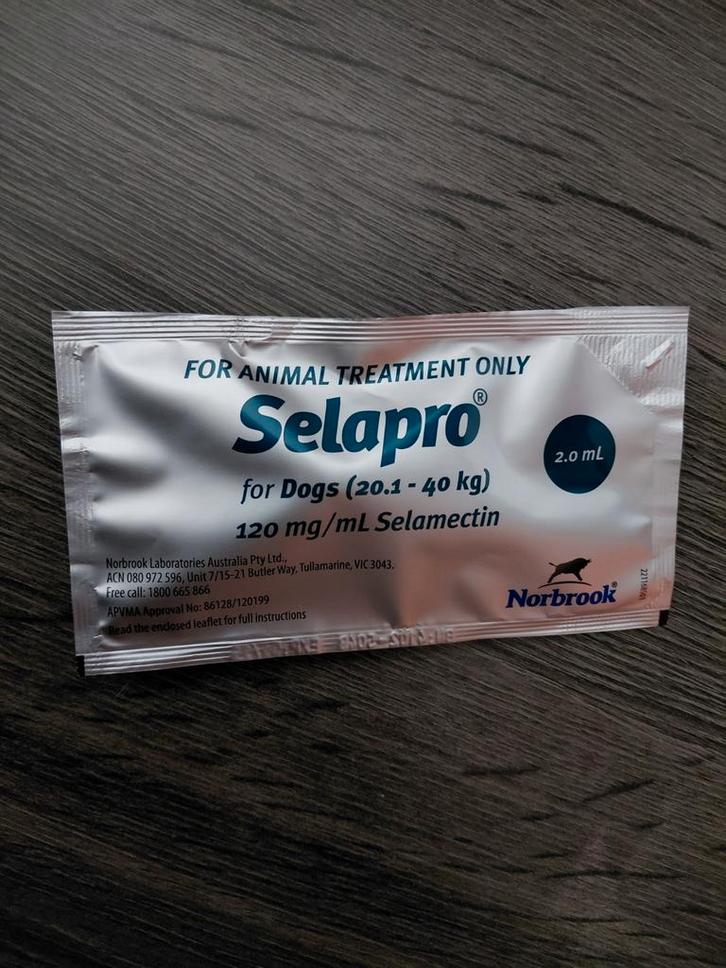 ≥ Selapro anti vlo worm teek mijt hond — Honden-accessoires — Marktplaats