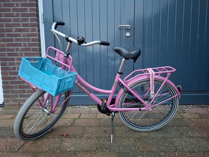 ≥ Alpina meisjesfiets 22 inch — Fietsen | Meisjes — Marktplaats