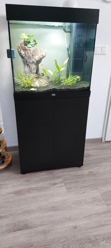 ≥ Aquarium met onderkast — Vissen | Aquaria en Toebehoren — Marktplaats