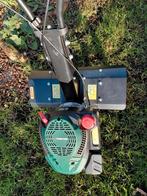 ≥ Vind tuinfrees op Marktplaats - december 2025