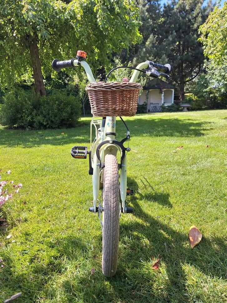 ≥ Meisjesfiets - Flower Fun - 16 inch — Fietsen | Jongens — Marktplaats