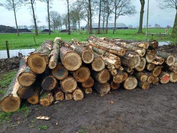 ≥ Brandhout - Stamhout - Boomstammen - Haardhout - Te Koop — Haardhout ...