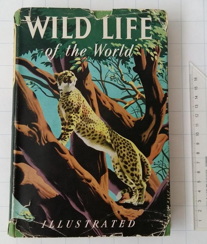 ≥ Wild life of de World - Maurice Burton — Natuur — Marktplaats