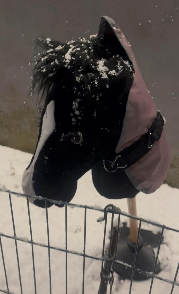 ≥ Hobbyhorse Outdoor Regen Deken — Speelgoed | Hobbelfiguren — Marktplaats