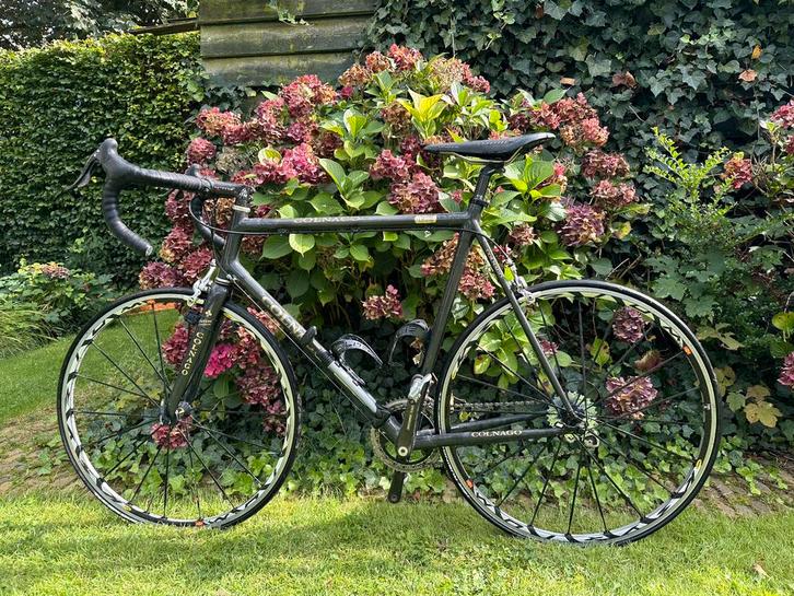 ≥ Colnago C40 gold 24k limited edition — Fietsen | Heren | Sportfietsen ...