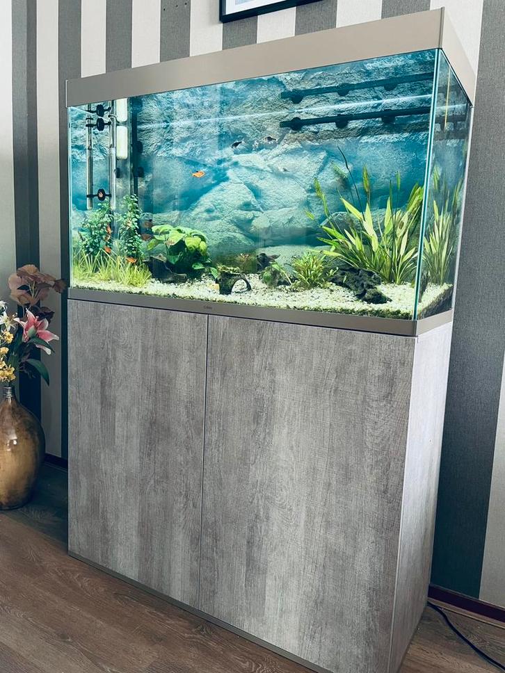 ≥ Aquarium Ciano 100 met originele twee deurs kast — Vissen | Aquaria ...