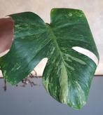 Huis en Inrichting van hoge kwaliteit te koop | Marktplaats | Pagina 15